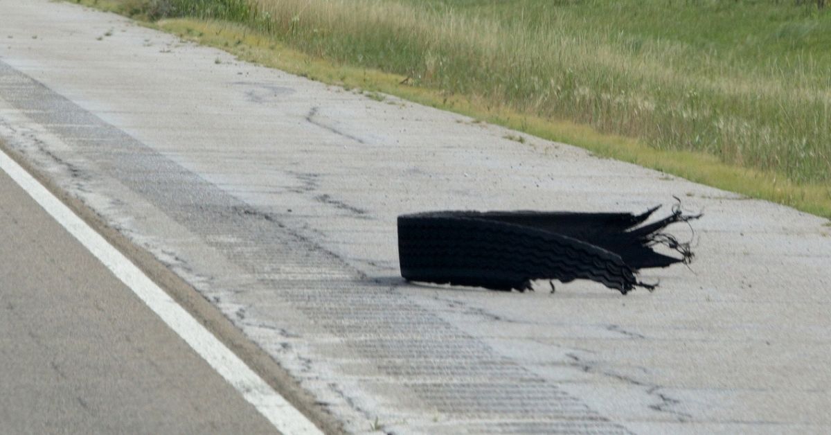 Road Gators: Understanding the Dangers and Risks