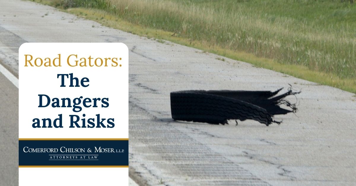 Road Gators: Understanding the Dangers and Risks